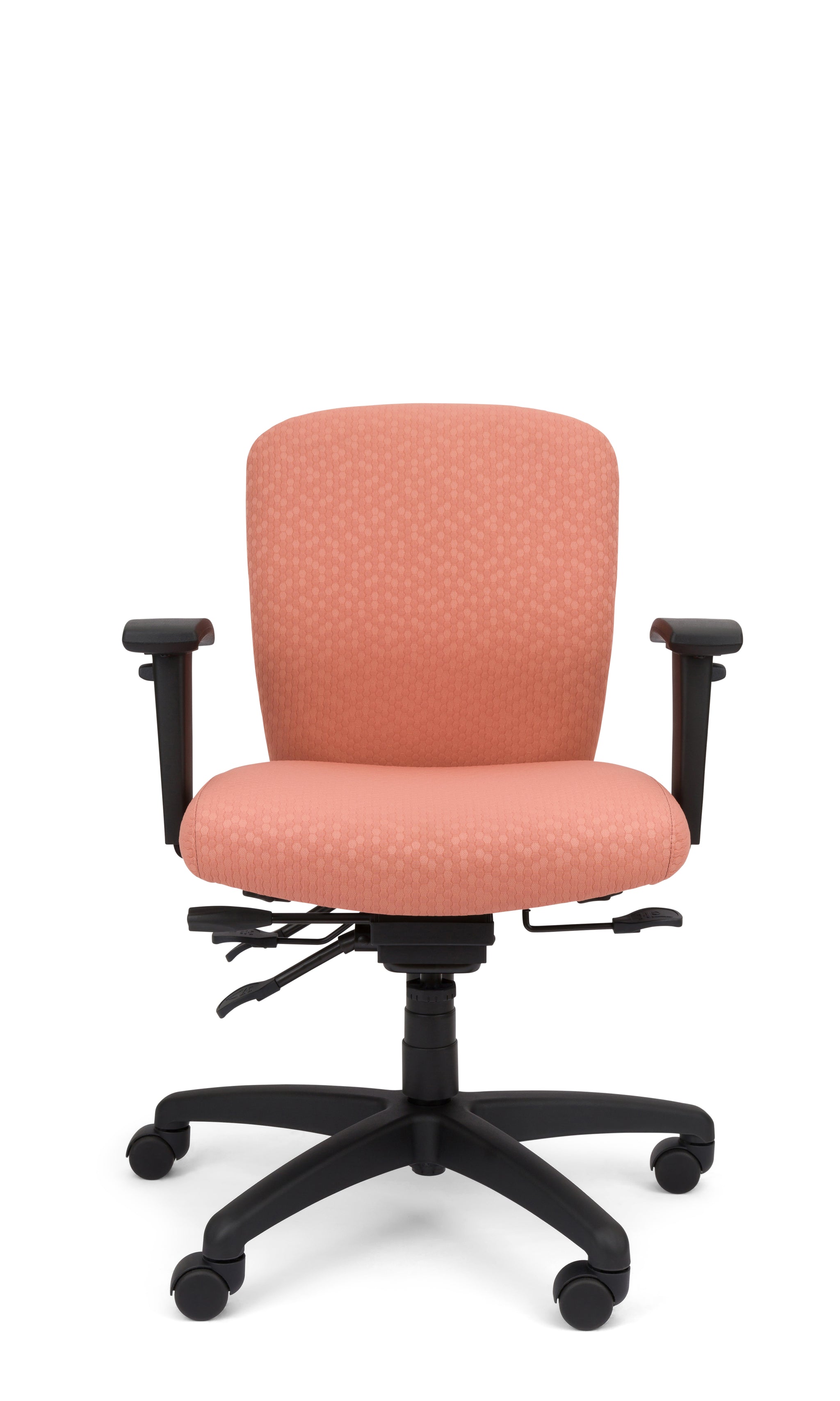 Rainier Cloud - Ergo-Comfort Task Chair